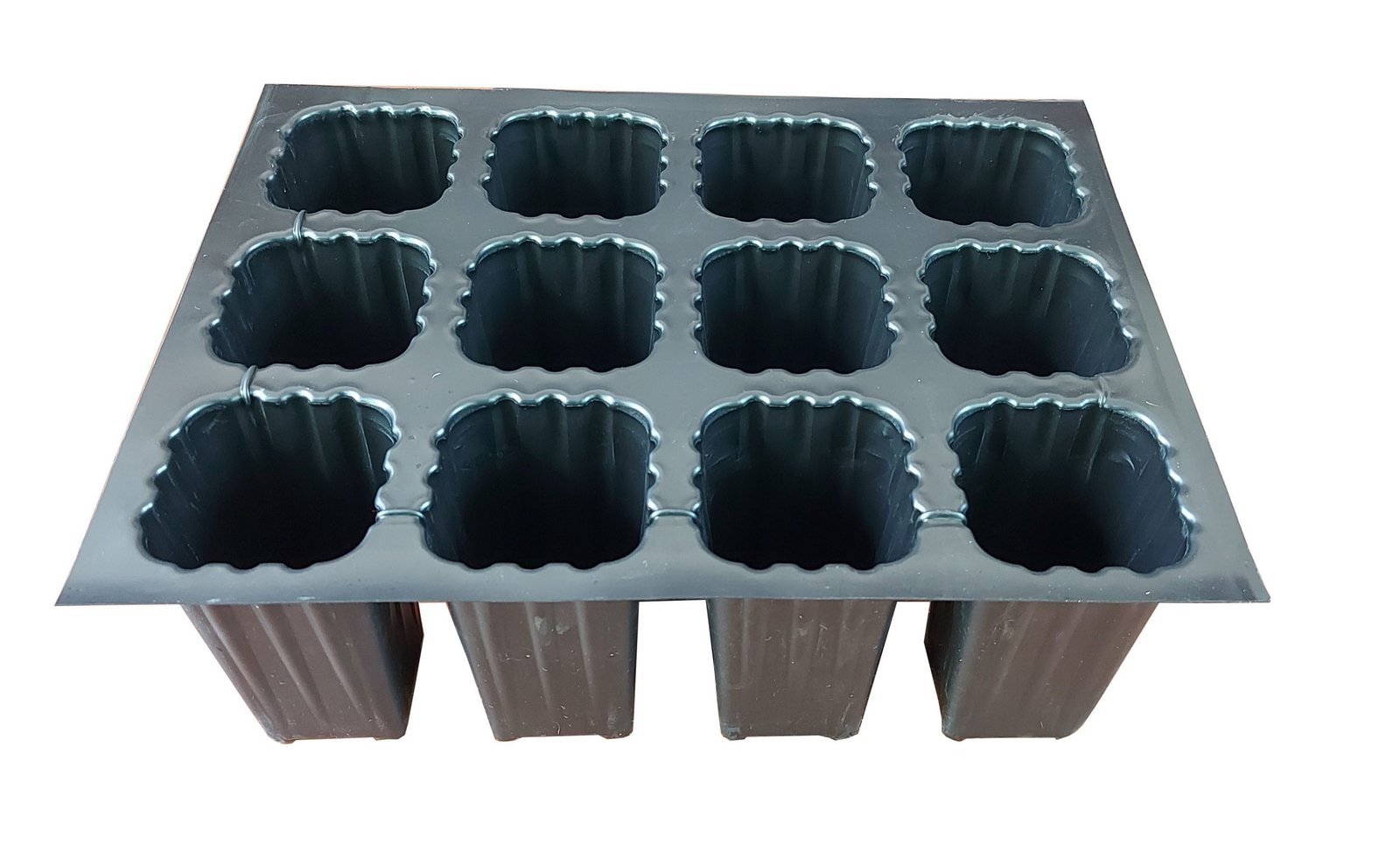 12 Cavity Seedling Tray - Greenman Garden Agro Center